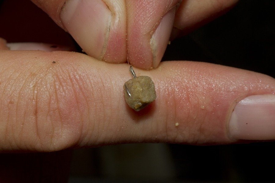 Using expanders pellets & how to hook them! - Rob Wootton | Dynamite Baits